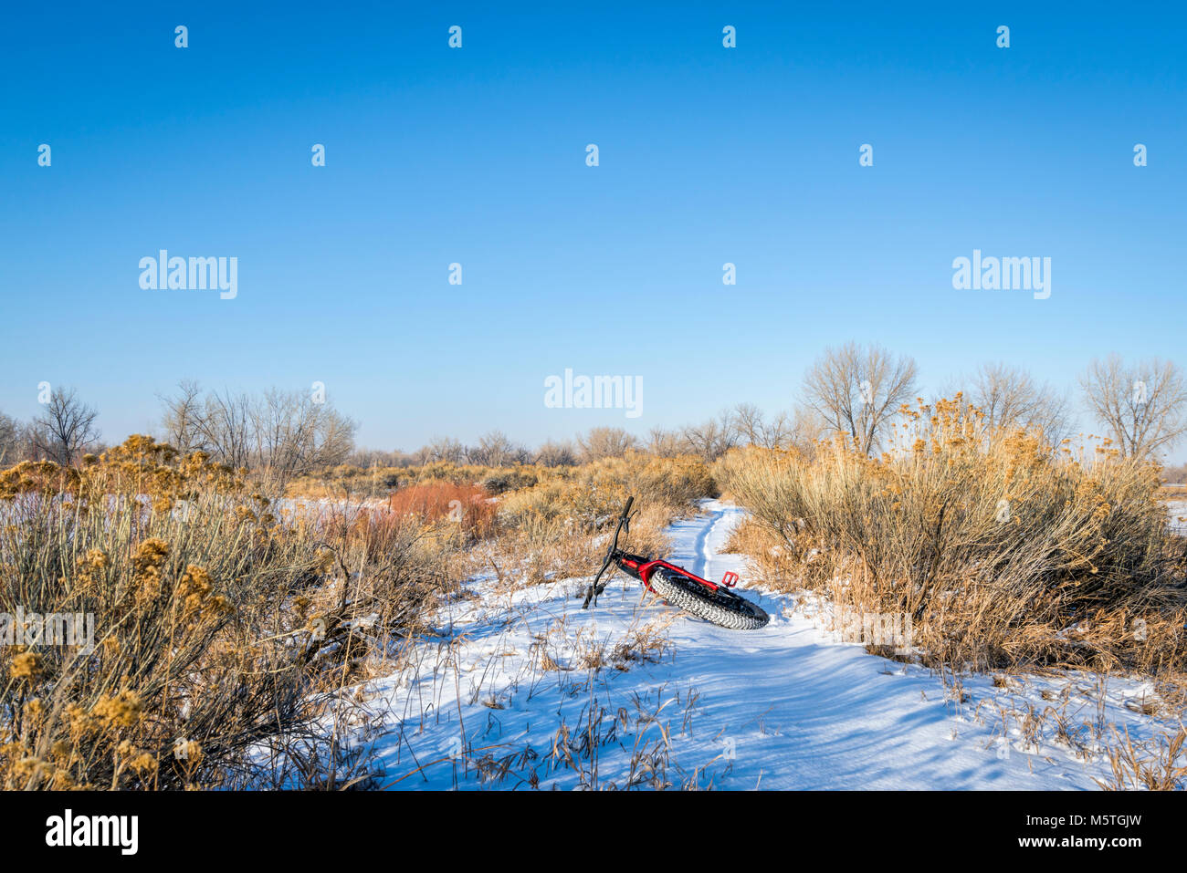 fat bike on a winter trail, cold and sunny day in northern Colorado ...
