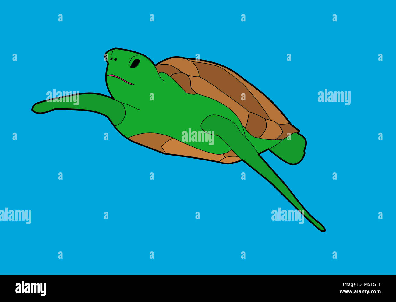 Happy turtle cartoon slow animal hi-res stock photography and images ...