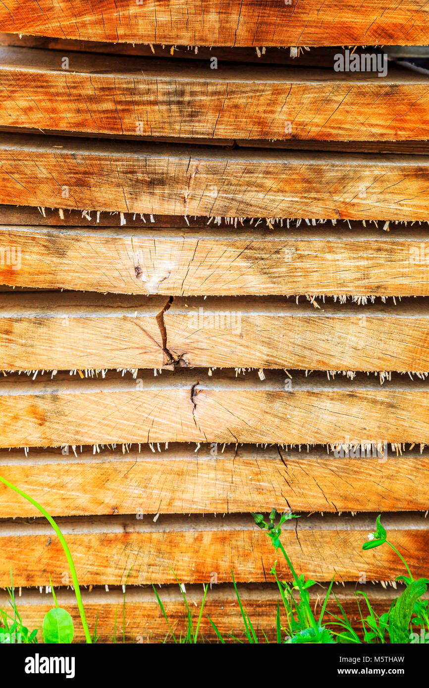 Stacks of timber seasoning in the sun ready for use in historical ...
