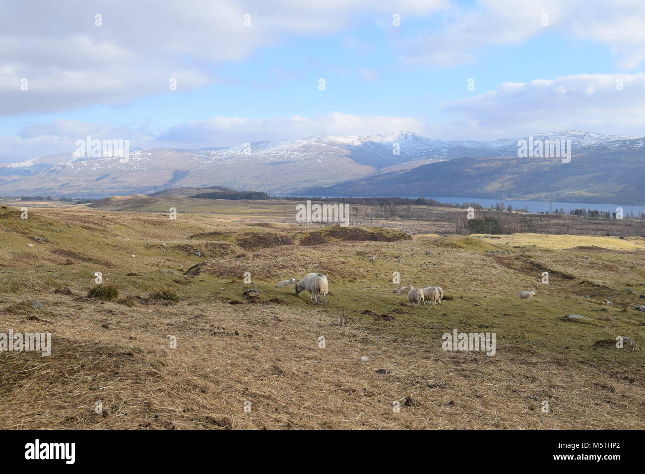 "ben lawyers" "dam" "Scottish highlands" "frozen reservoir" "Scotland ...