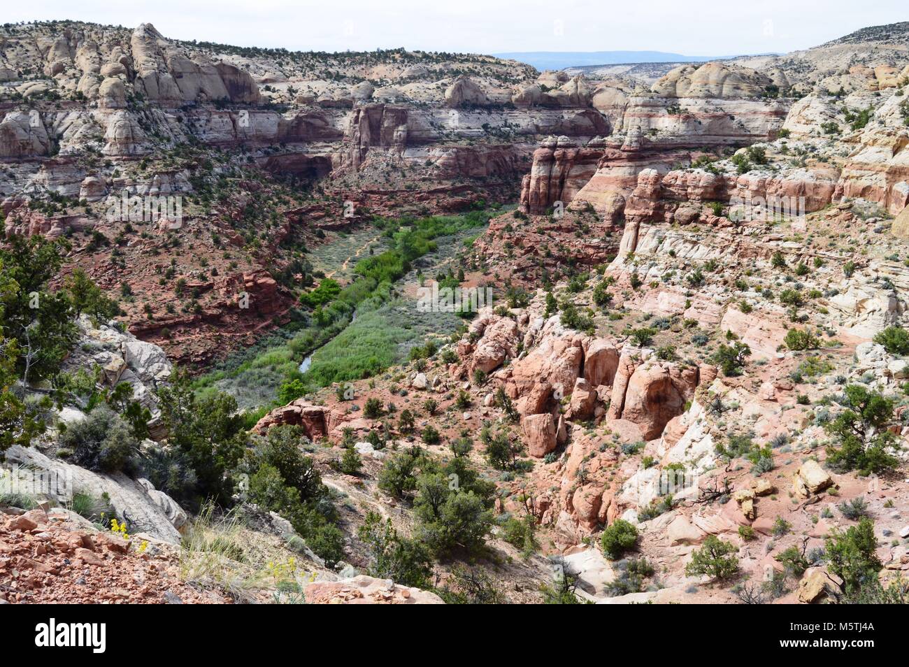 sagebrush-country mountain range, steppe and desert Stock Photo - Alamy
