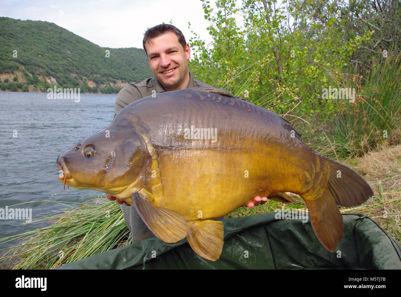 Mirror carp hi-res stock photography and images - Alamy