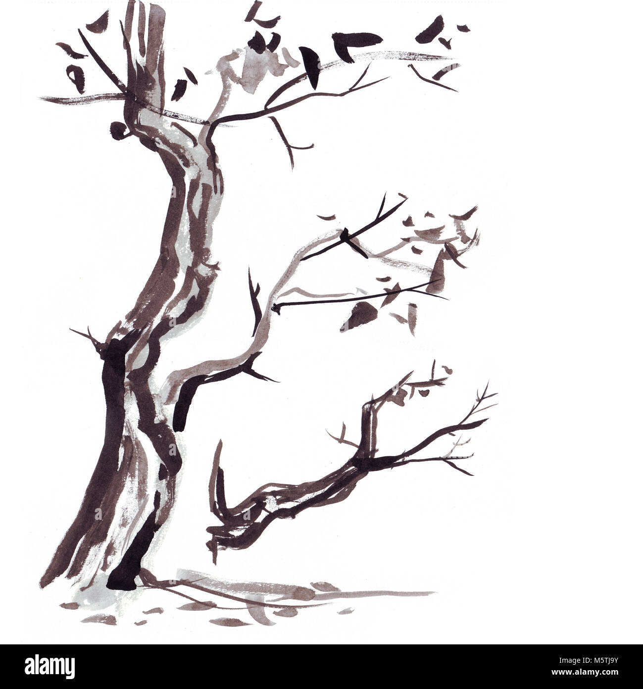 Tree branch in Japanese style. Watercolor hand painting illustration ...