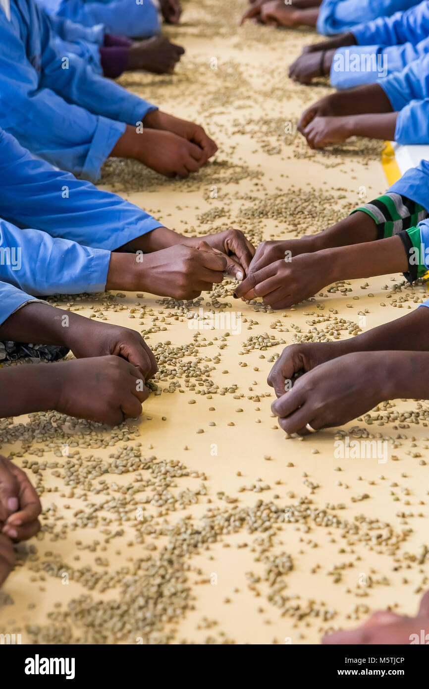 Coffee processing machine hi-res stock photography and images - Alamy