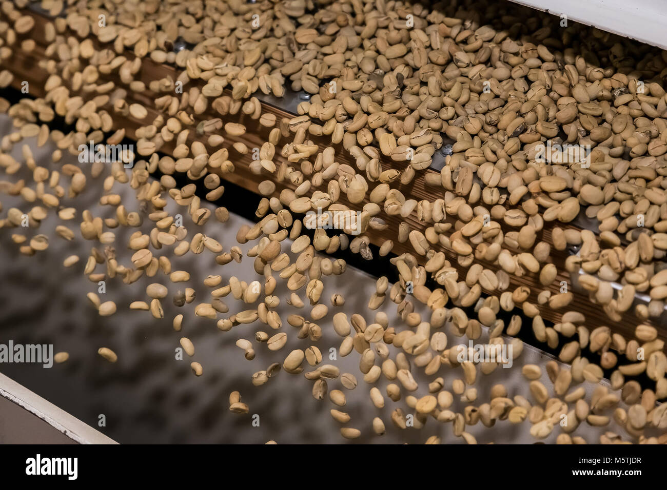 Raw Coffee Bean sorting and processing in a factory Stock Photo - Alamy