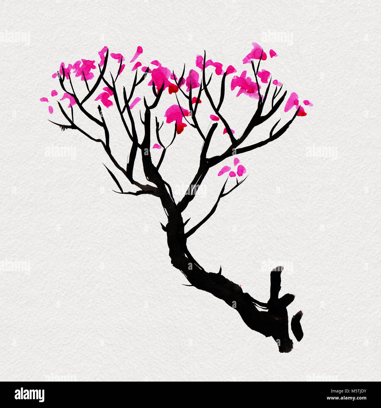 Sakura tree in Japanese style. Watercolor hand painting illustration ...