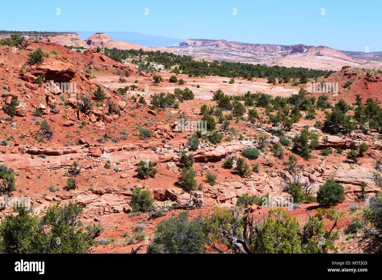 sagebrush-country mountain range, steppe and desert Stock Photo - Alamy