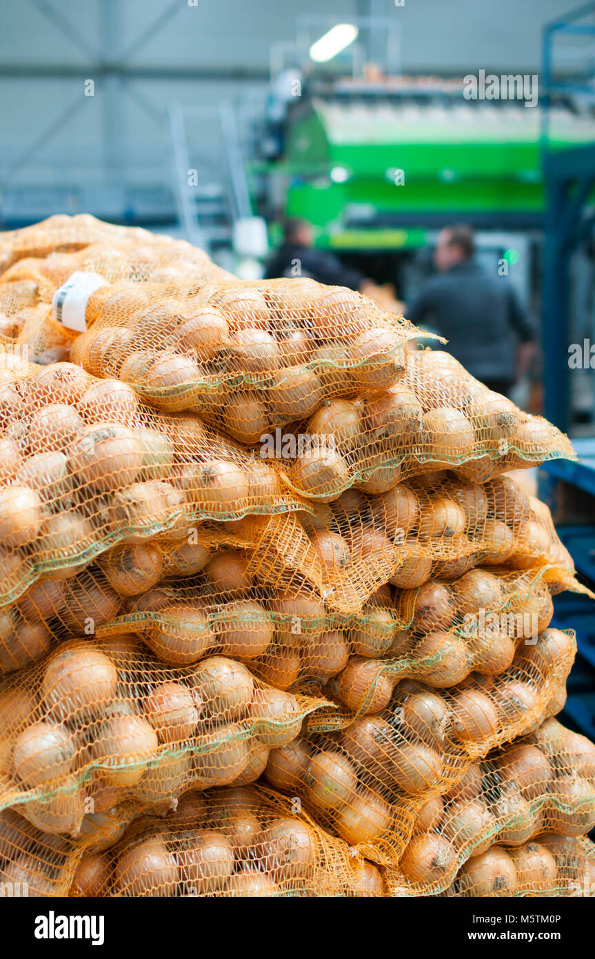 Onion warehouse hi-res stock photography and images - Alamy