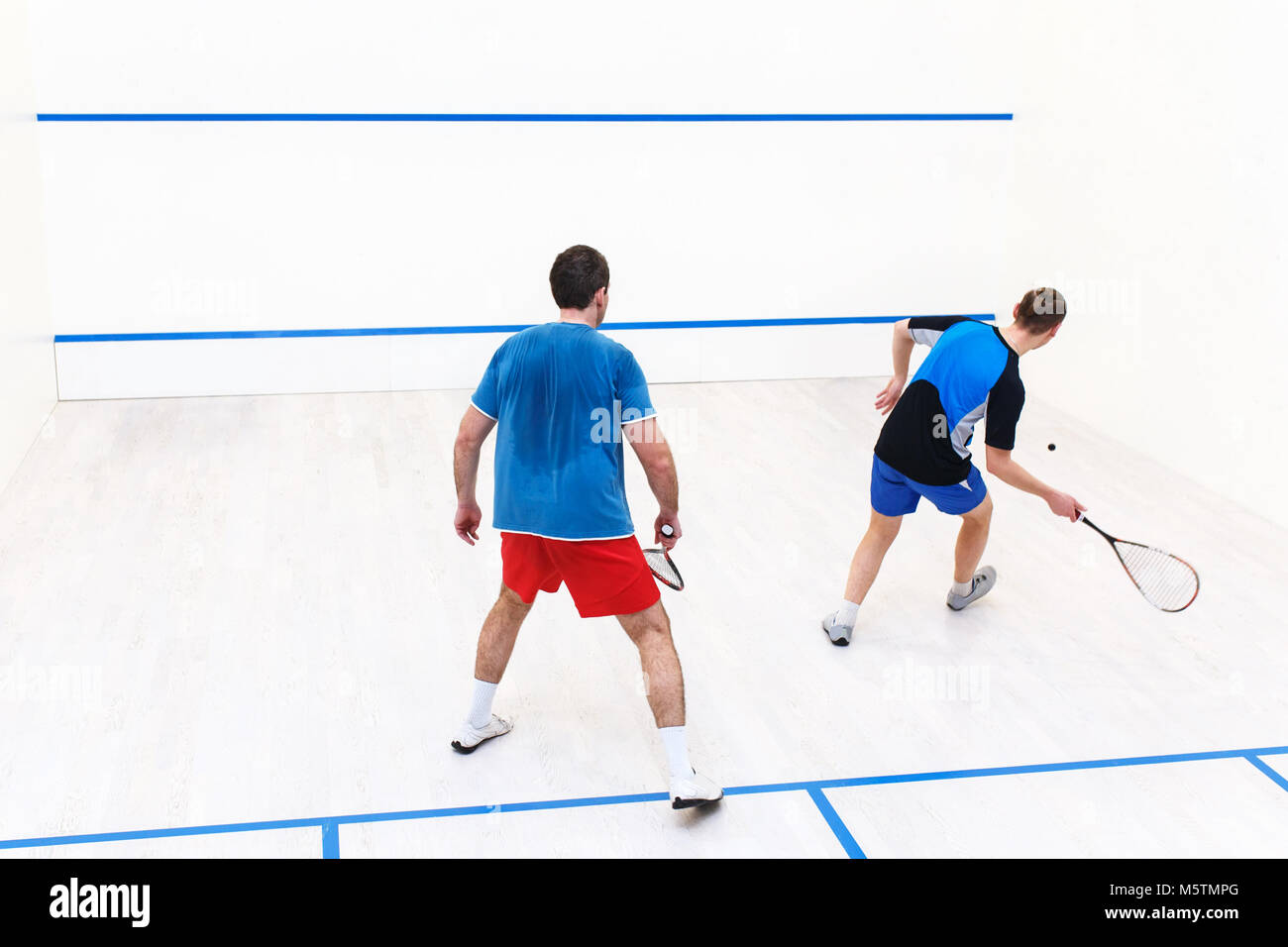 back view of squash players hitting a ball in a squash court. Squash ...