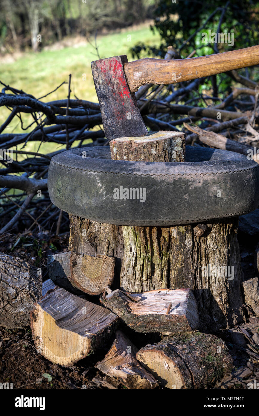 chunk of wood, branch, tree trunk, bole, stump,logs, logged, logging ...