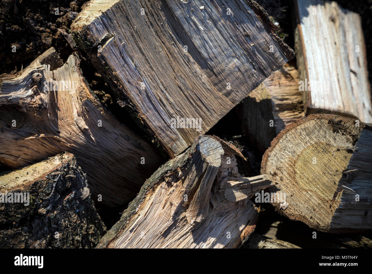 chunk of wood, branch, tree trunk, bole, stump,logs, logged, logging ...