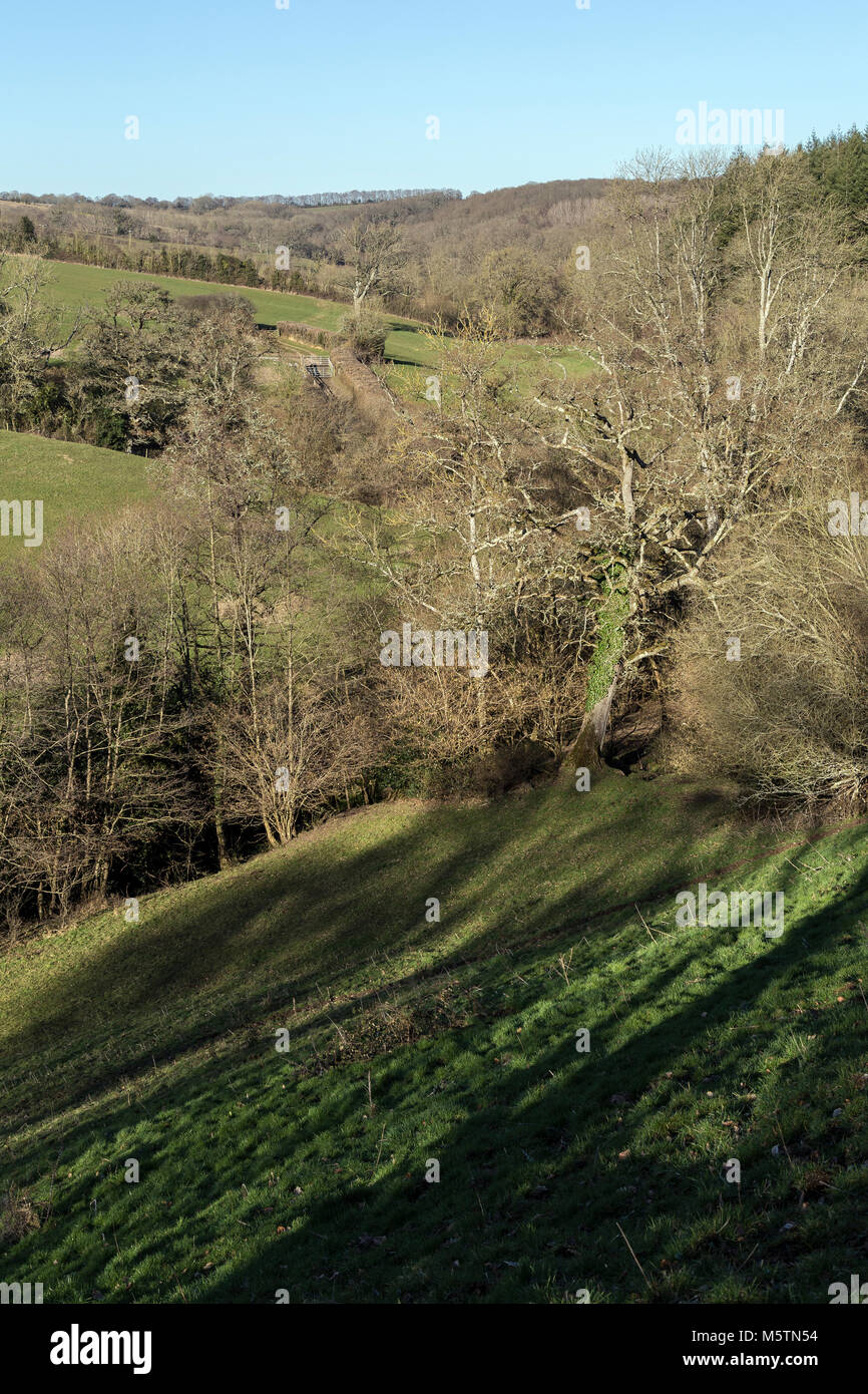 An area of woodland ,underwood, copsewood, brushwood, brush, scrub ...