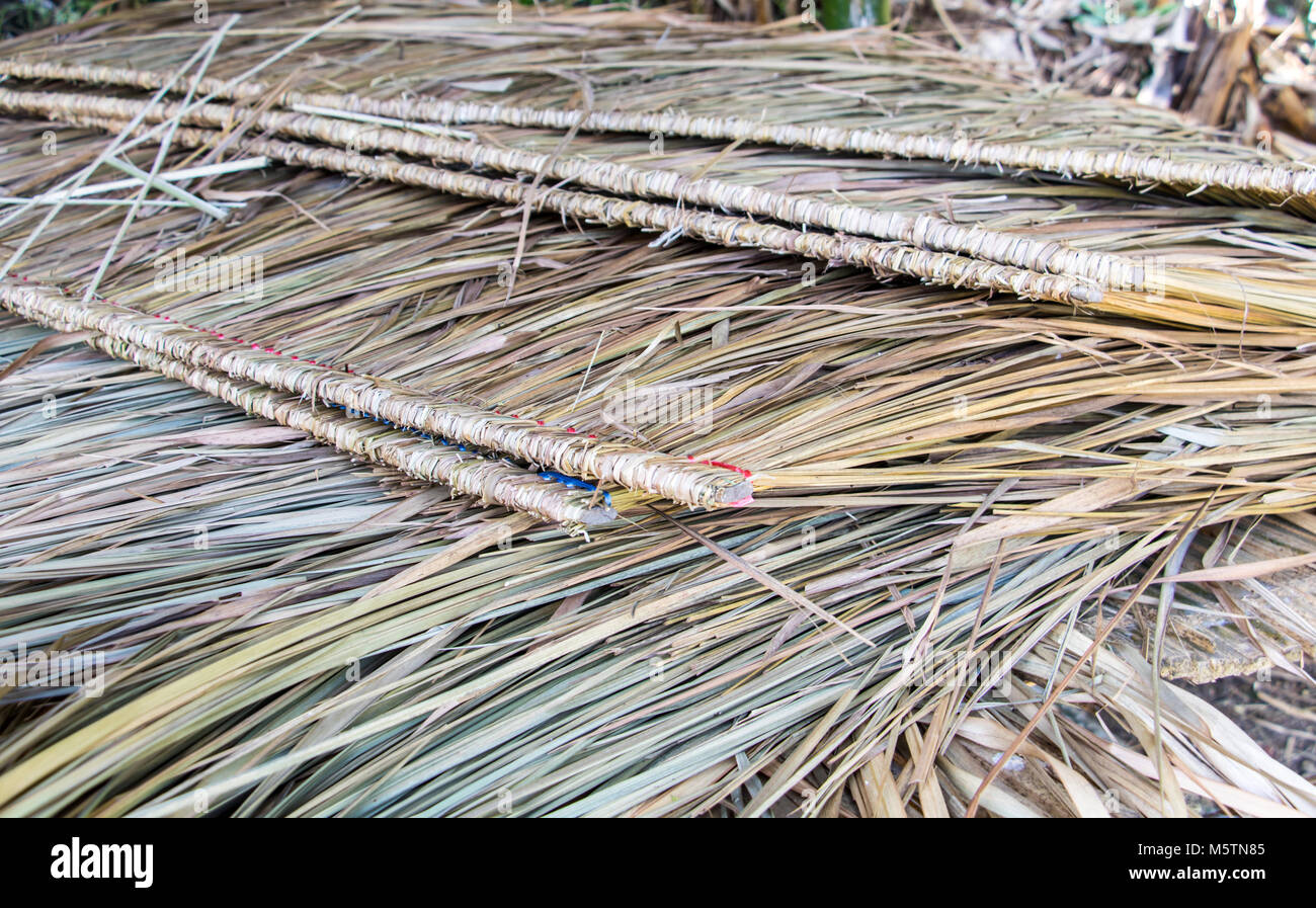 A pile of part of roof from reeds ready for construction, Thailand ...