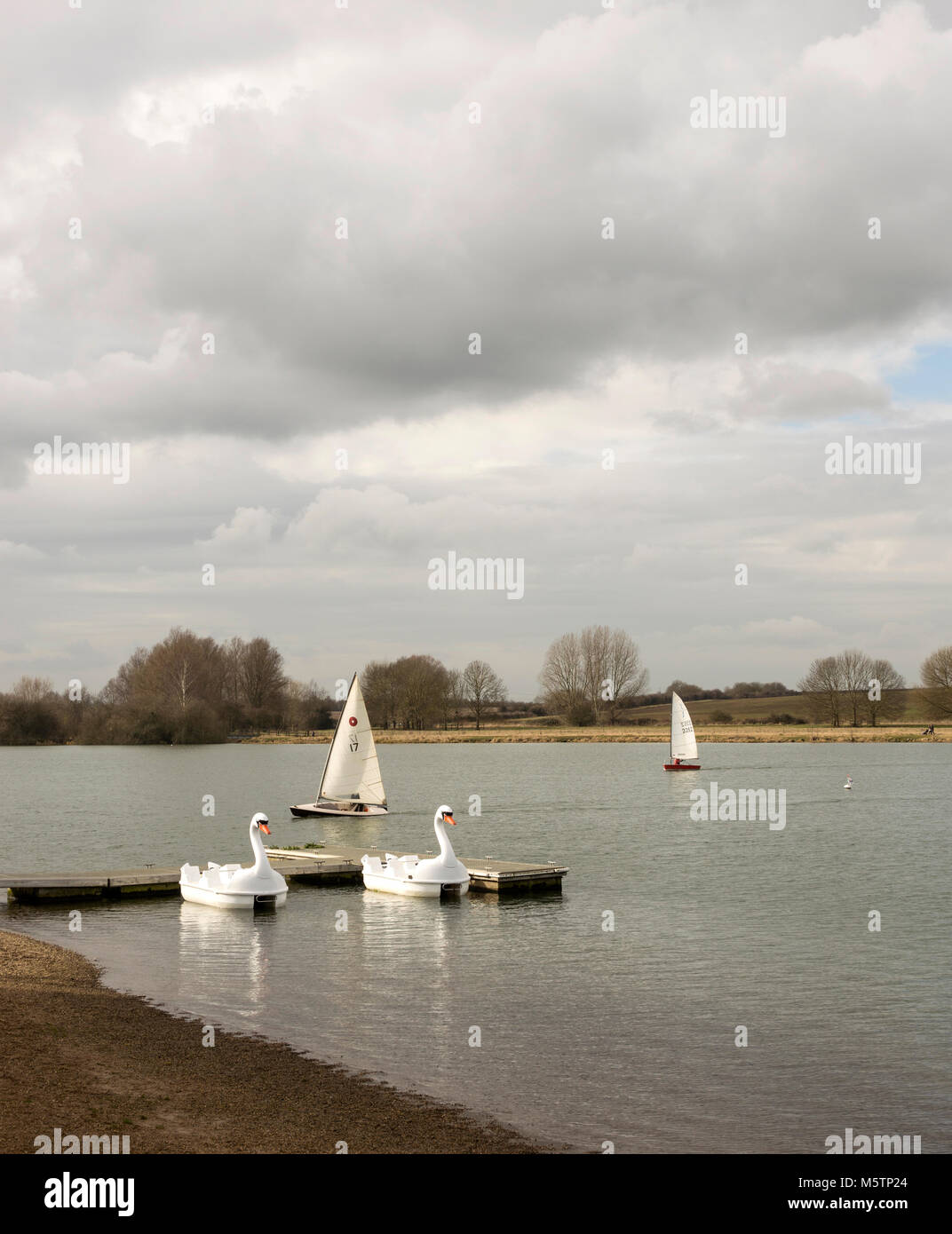 Ferry Meadows, Nene Park, Peterborough UK Stock Photo - Alamy