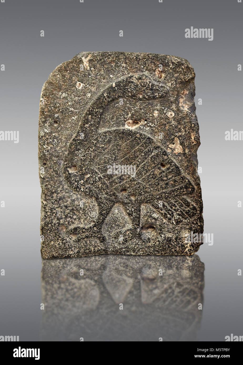 9th century BC stone Neo-Hittite/ Aramaean Orthostats from Palace ...
