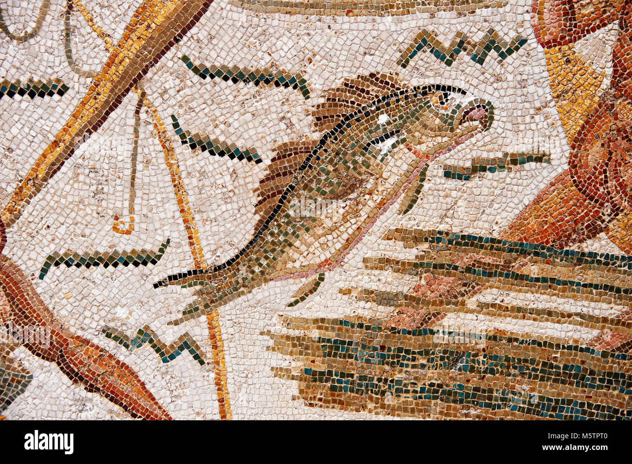 Detail of a fish from a Roman mosaic depicting fishermen from the north ...