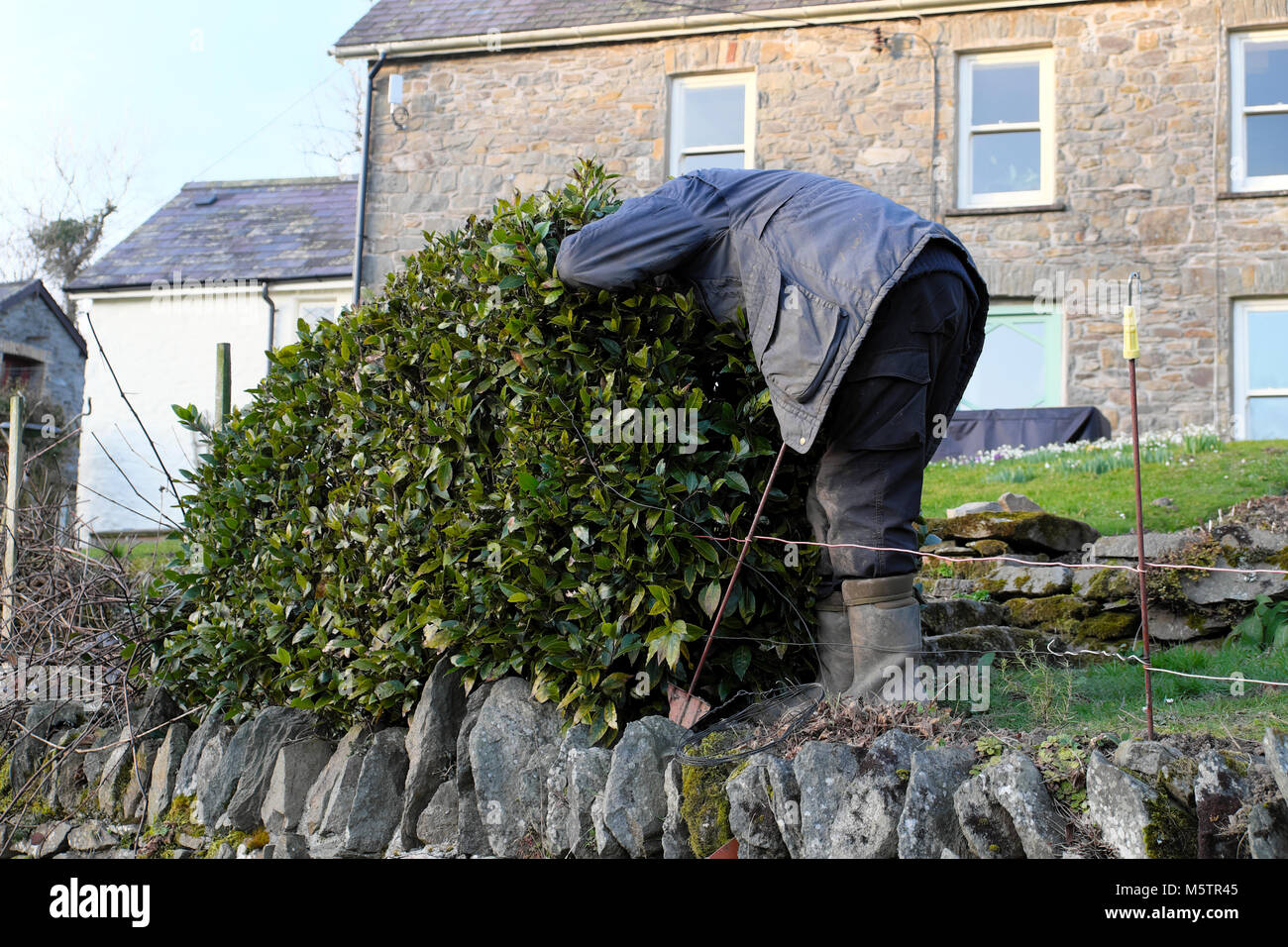 Man bending over hi-res stock photography and images - Alamy