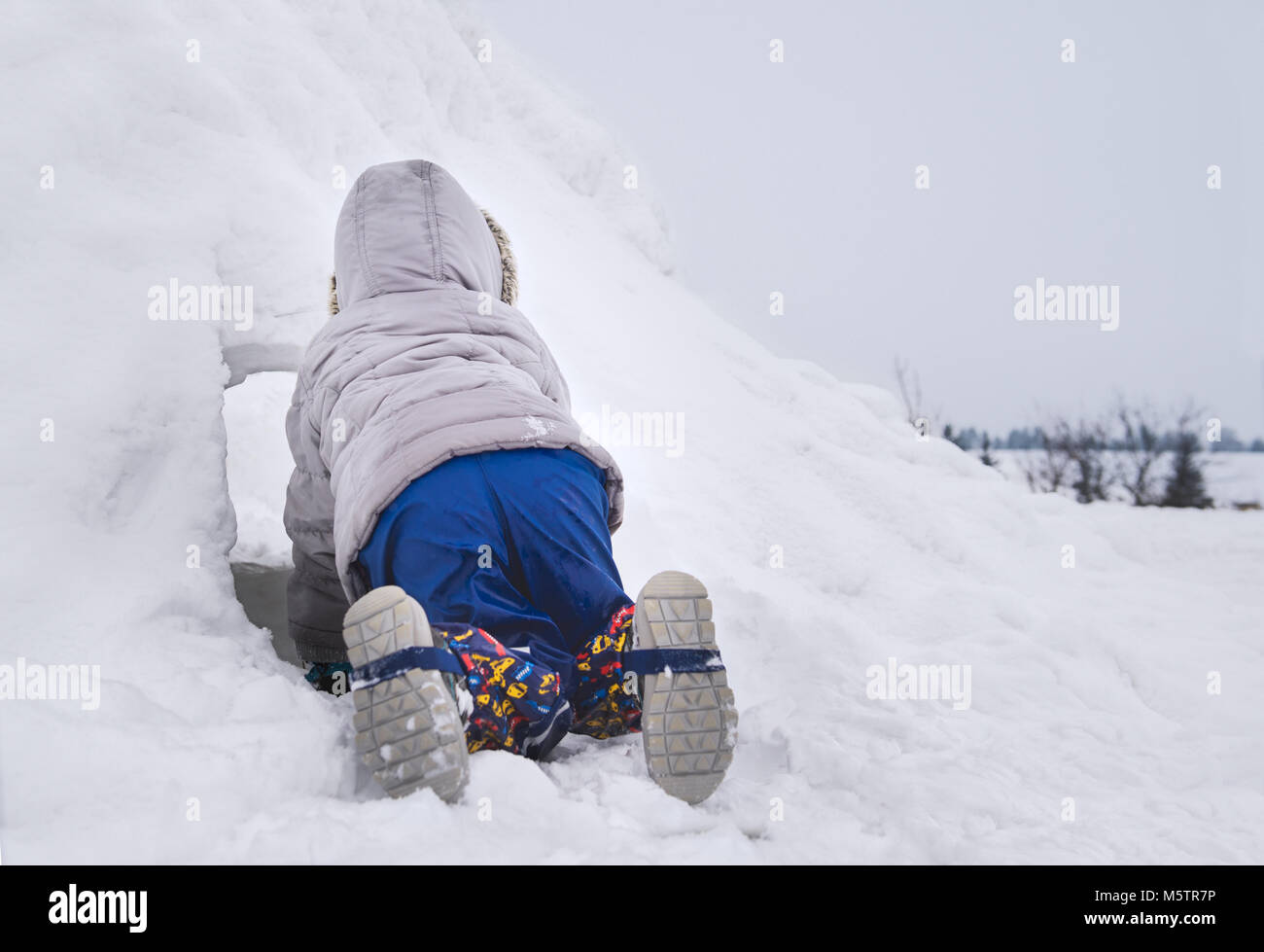 Young child crawling into a snow fort build in a backyard. Hide and ...