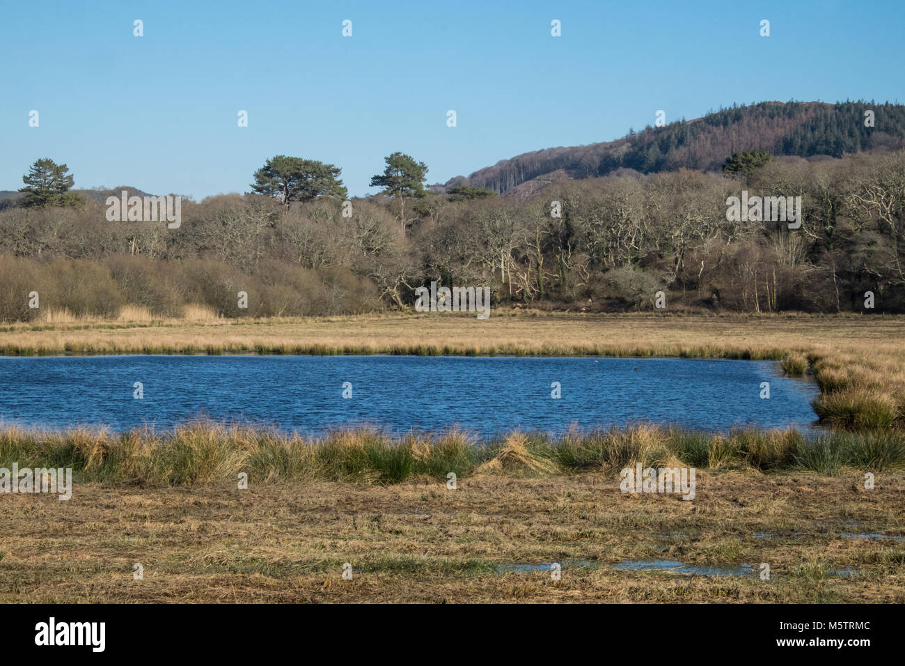 Dyfi estuary and ynys hir hi-res stock photography and images - Alamy