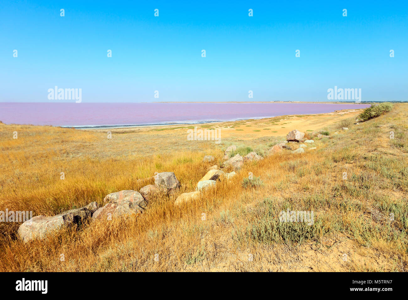 Pink extremely salty Syvash Lake, colored by microalgae. Also known as ...