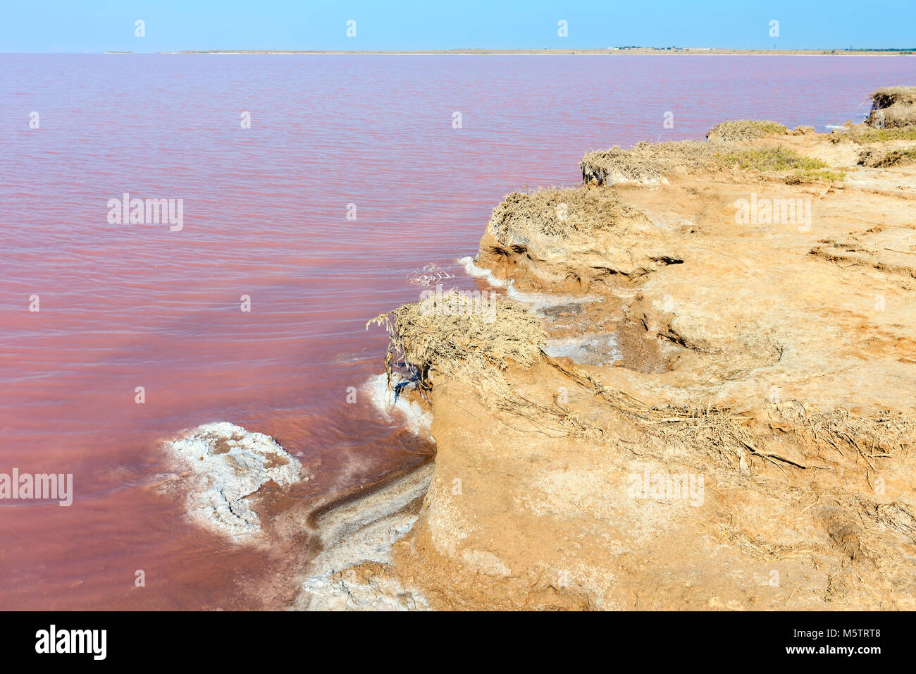 Pink extremely salty Syvash Lake, colored by microalgae. Also known as ...