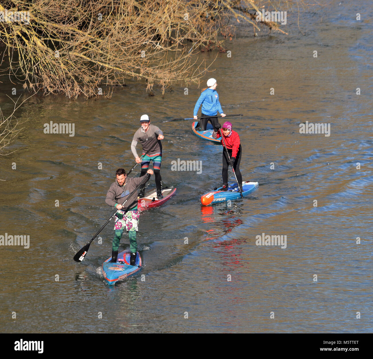 Paddleboarding on river thames hi-res stock photography and images - Alamy