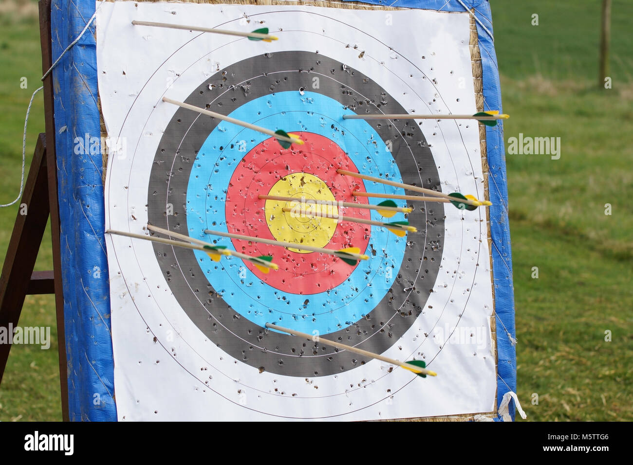 Field archery target with a number of wooden arrows sticking out of it ...