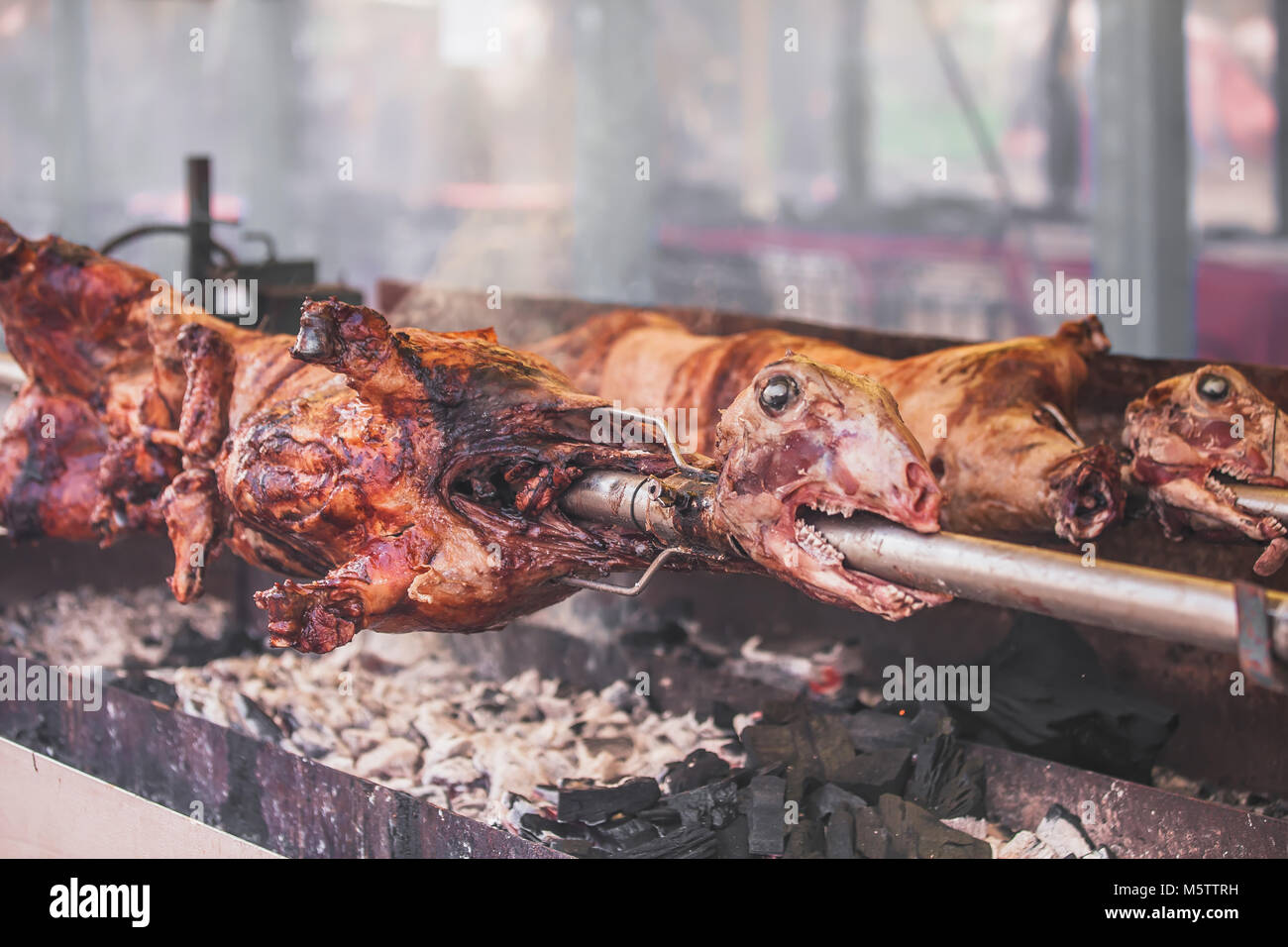 Traditionally suckling lamb on a rotating spit with fire and smoke ...
