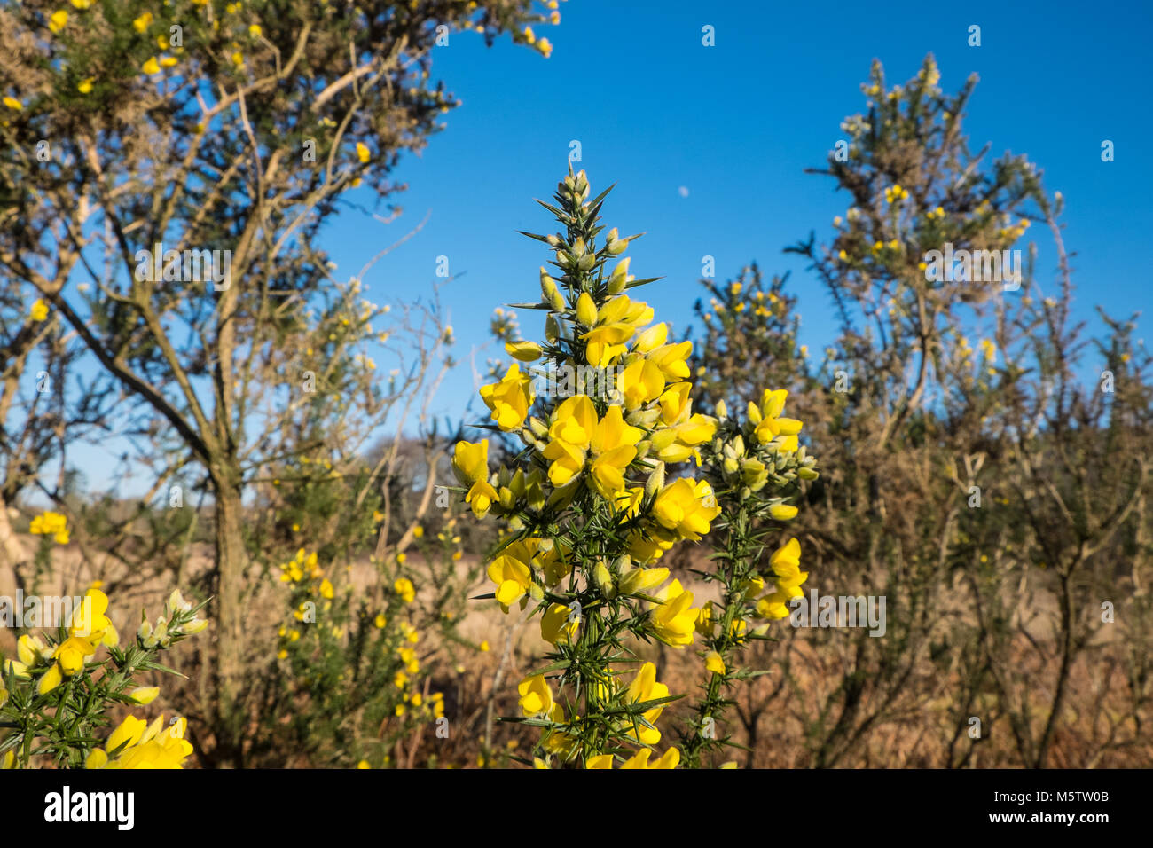 Ynyshir, wales hi-res stock photography and images - Alamy