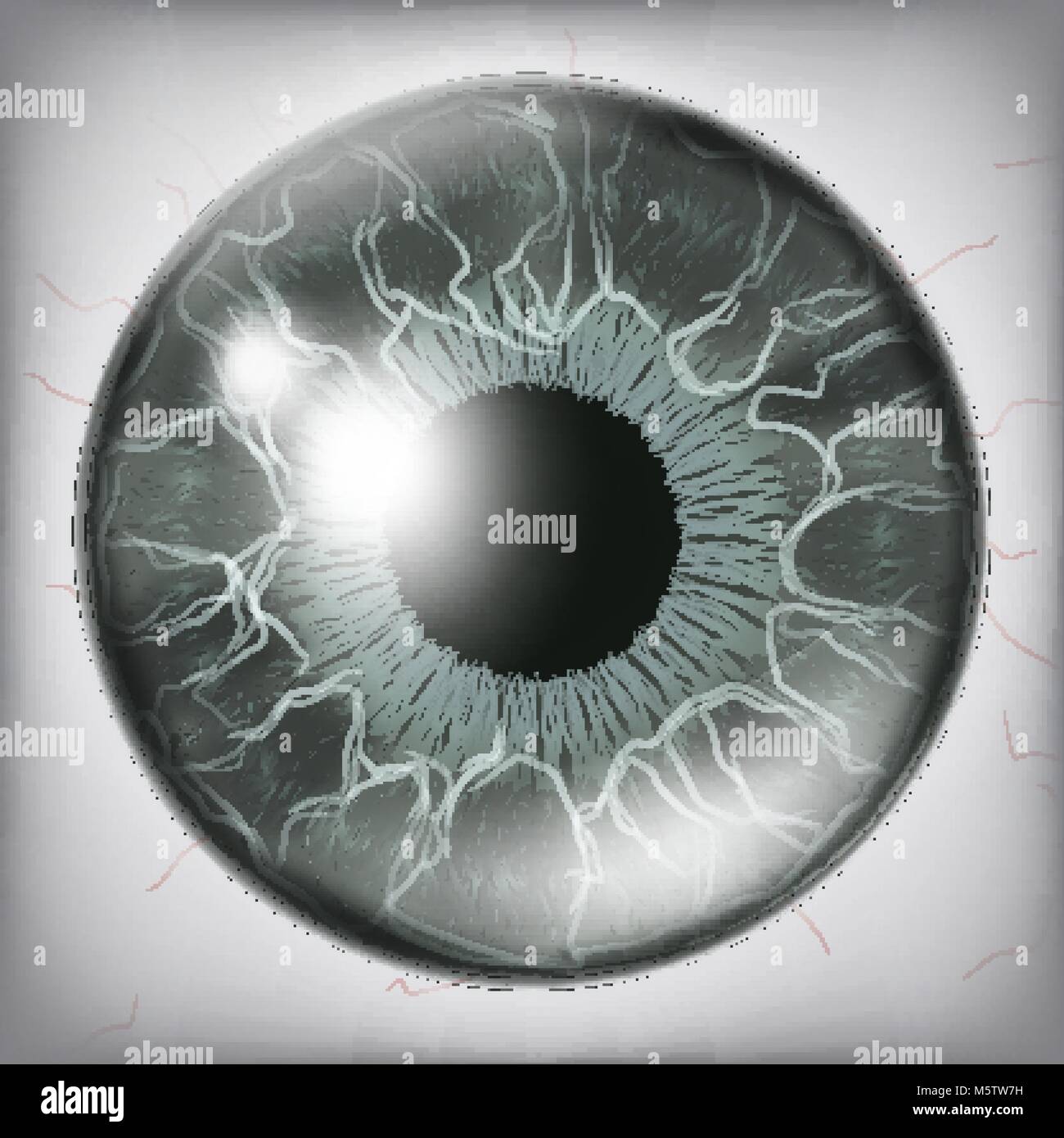 Human Eye Iris Close Up Vector. Healthy Medical Concept Illustration ...
