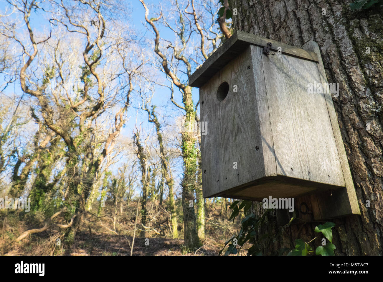 Rspb nest box hi-res stock photography and images - Alamy