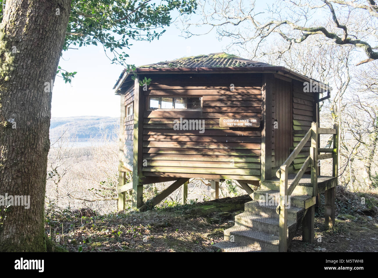 Dyfi estuary and ynys hir hi-res stock photography and images - Alamy