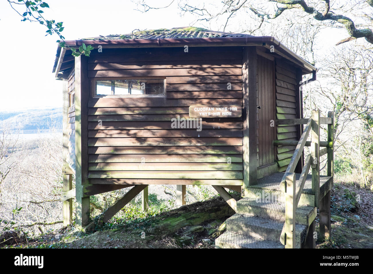 Dyfi estuary and ynys hir hi-res stock photography and images - Alamy