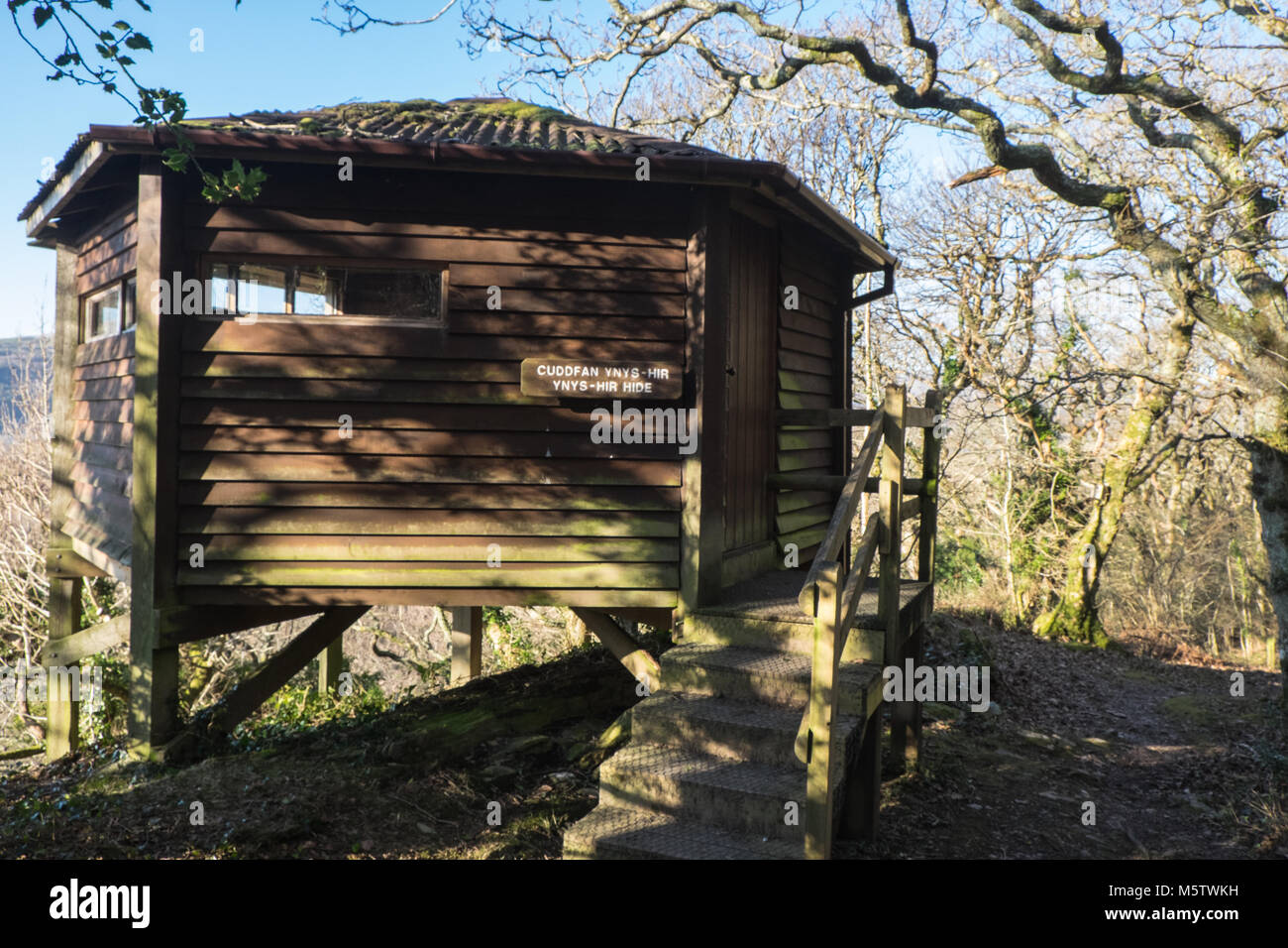 Dyfi estuary and ynys hir hi-res stock photography and images - Alamy