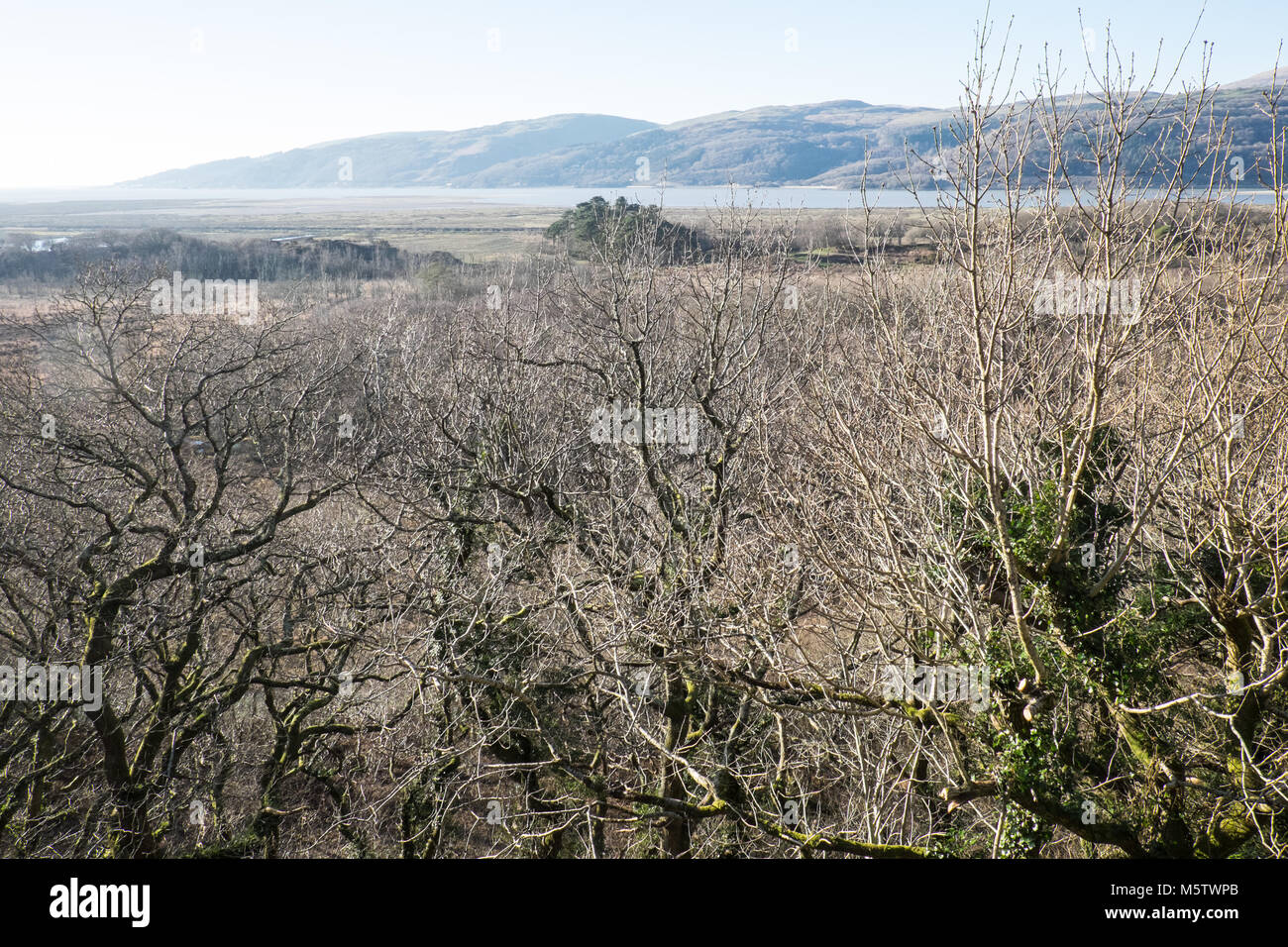 Dyfi estuary and ynys hir hi-res stock photography and images - Alamy