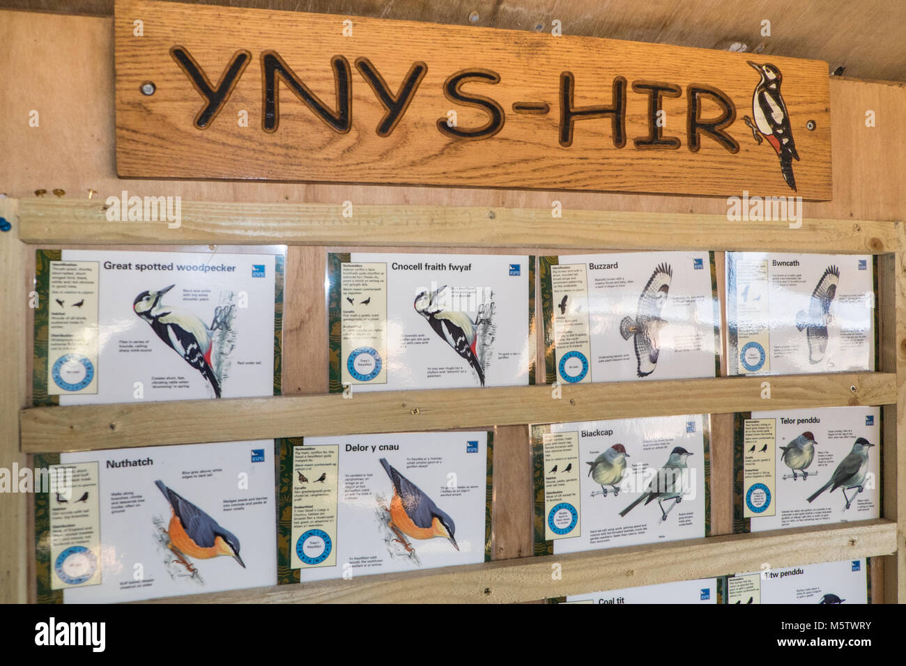 Rspb hide ynyshir hi-res stock photography and images - Alamy
