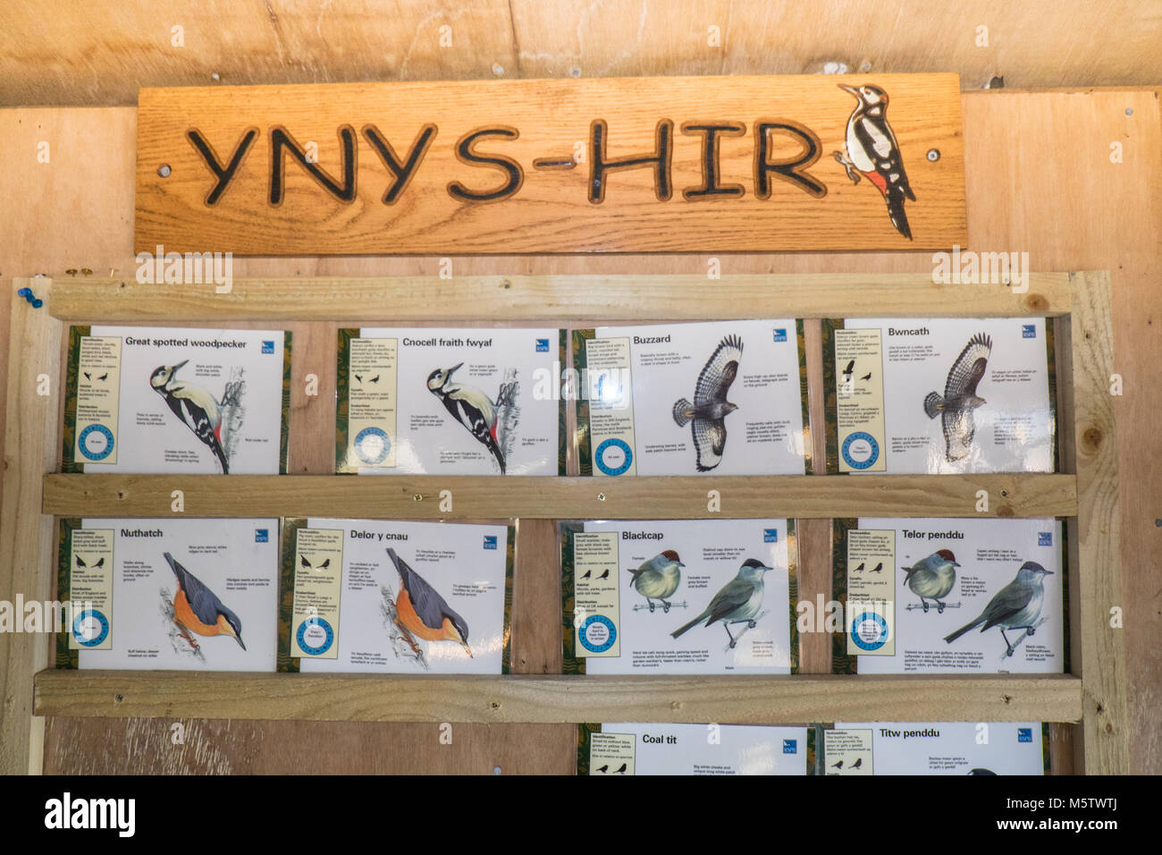 Rspb hide ynyshir hi-res stock photography and images - Alamy