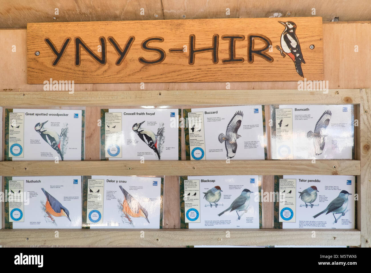 Rspb hide ynyshir hi-res stock photography and images - Alamy