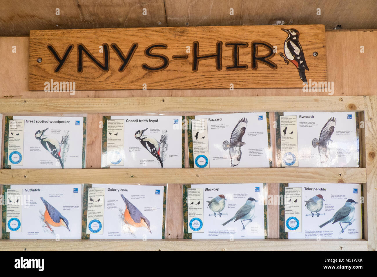 Rspb hide ynyshir hi-res stock photography and images - Alamy