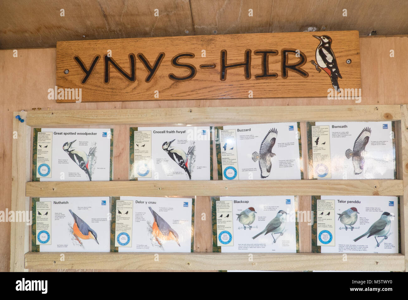 Rspb hide ynyshir hi-res stock photography and images - Alamy