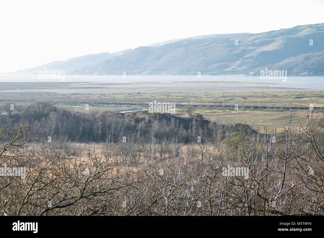 Dyfi estuary and ynys hir hi-res stock photography and images - Alamy