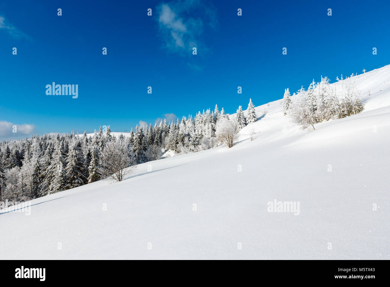 Winter calm mountain landscape with beautiful frosting trees and ...