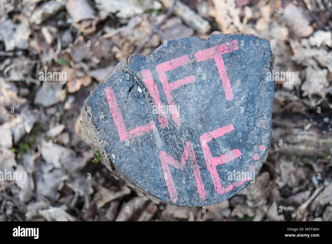Ynys hir and insect hi-res stock photography and images - Alamy