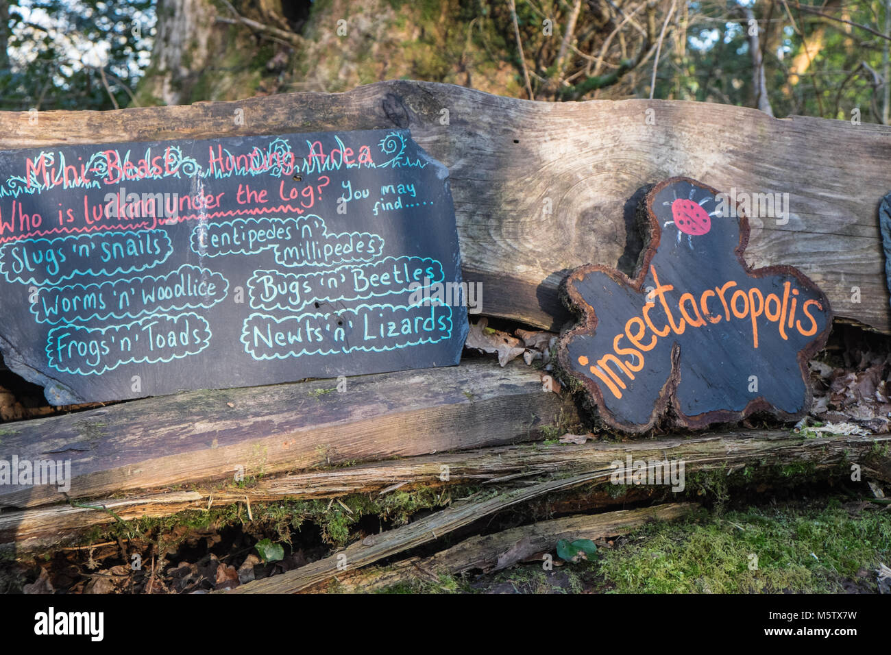 Ynys hir and insect hi-res stock photography and images - Alamy