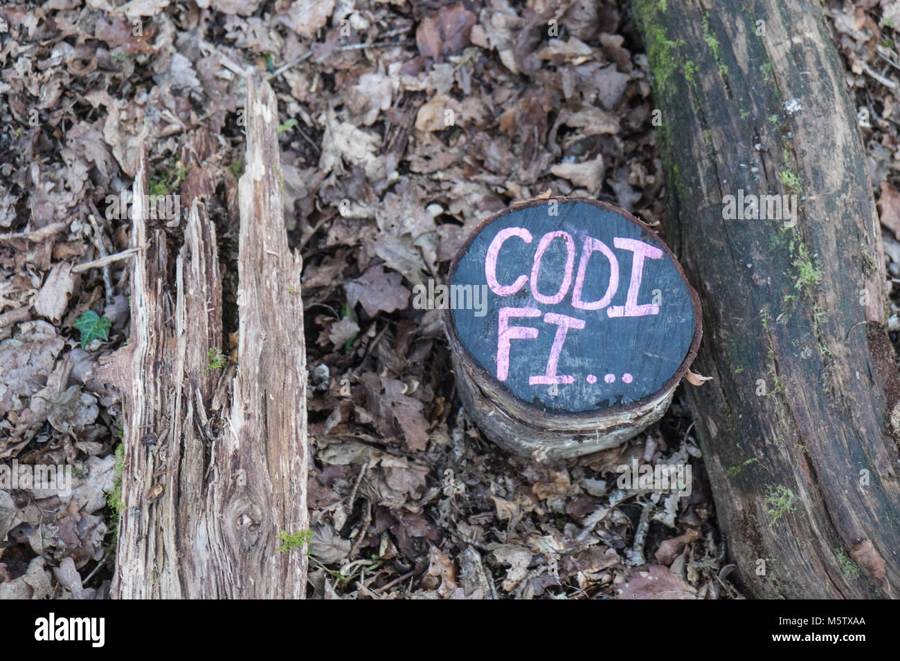 Ynys hir and insect hi-res stock photography and images - Alamy
