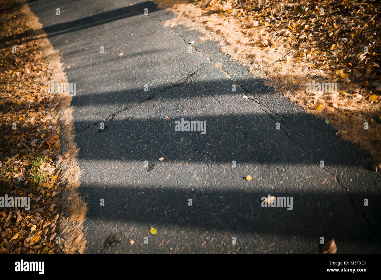 day view of pedestrian crossing with a shadows Stock Photo - Alamy