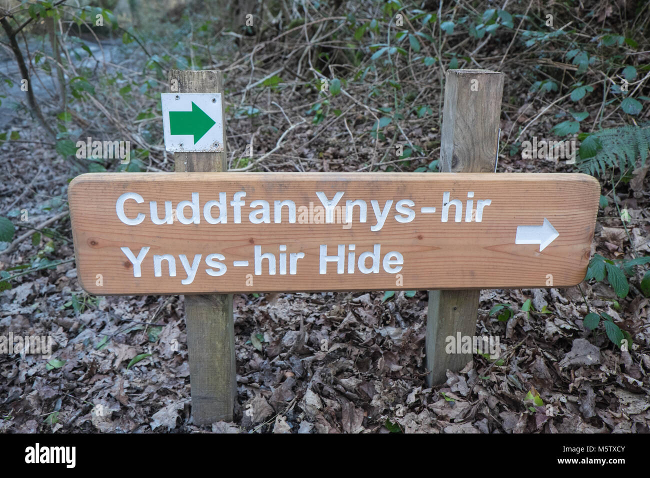 Rspb hide ynyshir hi-res stock photography and images - Alamy