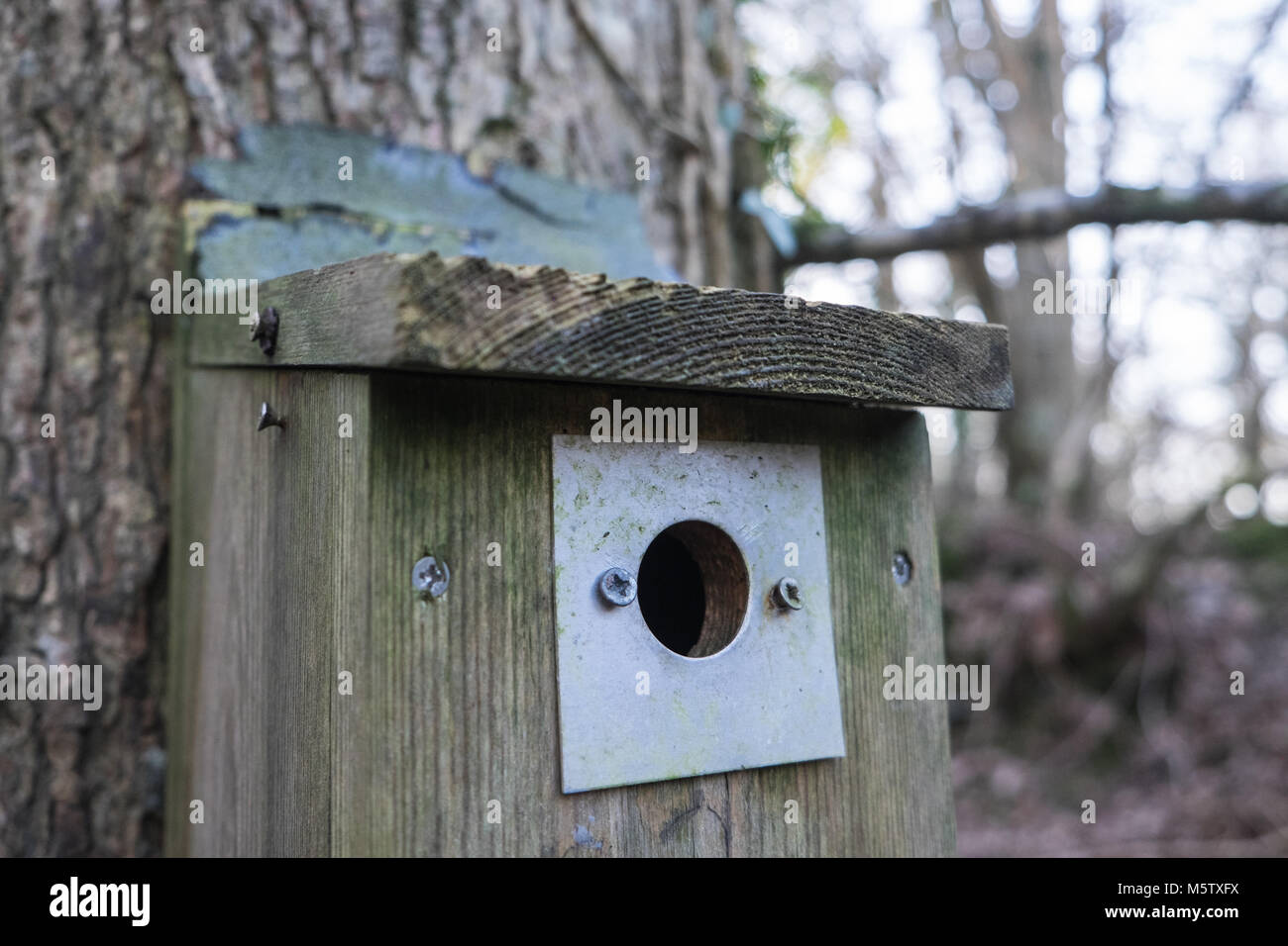 Rspb nest box hi-res stock photography and images - Alamy