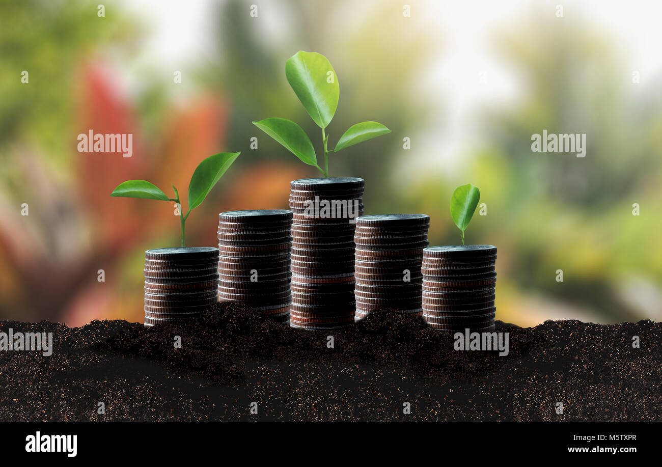 Growing Savings Coins Investment growing graph business development and ...