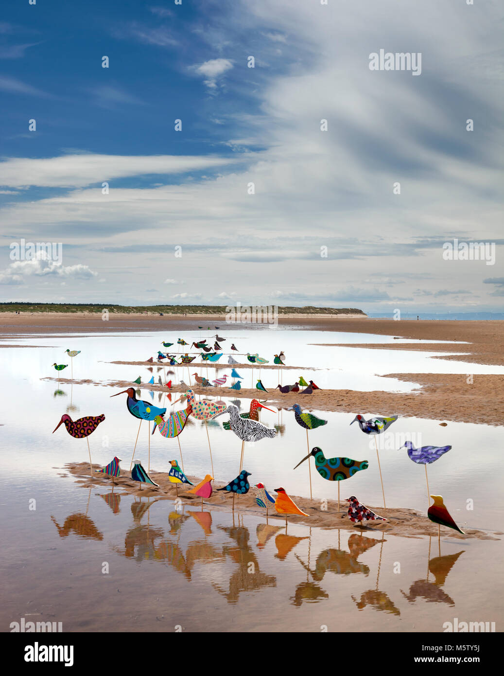 The Flock on the Sefton Coast Stock Photo - Alamy